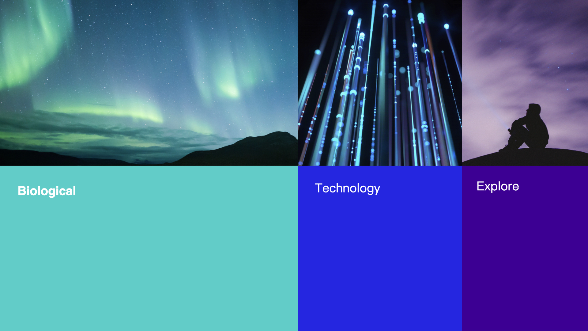 Enterprise VI Design _ Brand Design company _ VI Design company