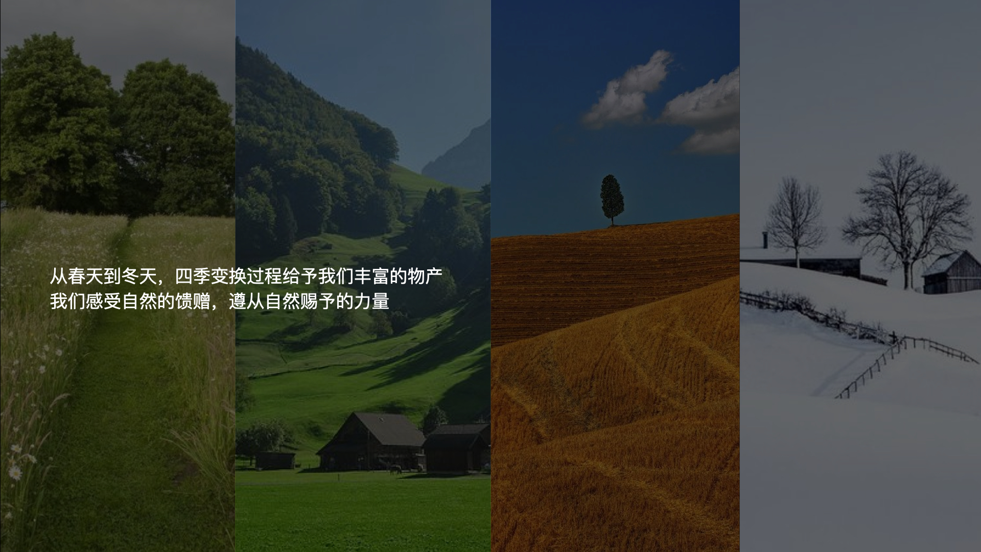 Agricultural logo design _ agricultural product vi design _ grain whole ...