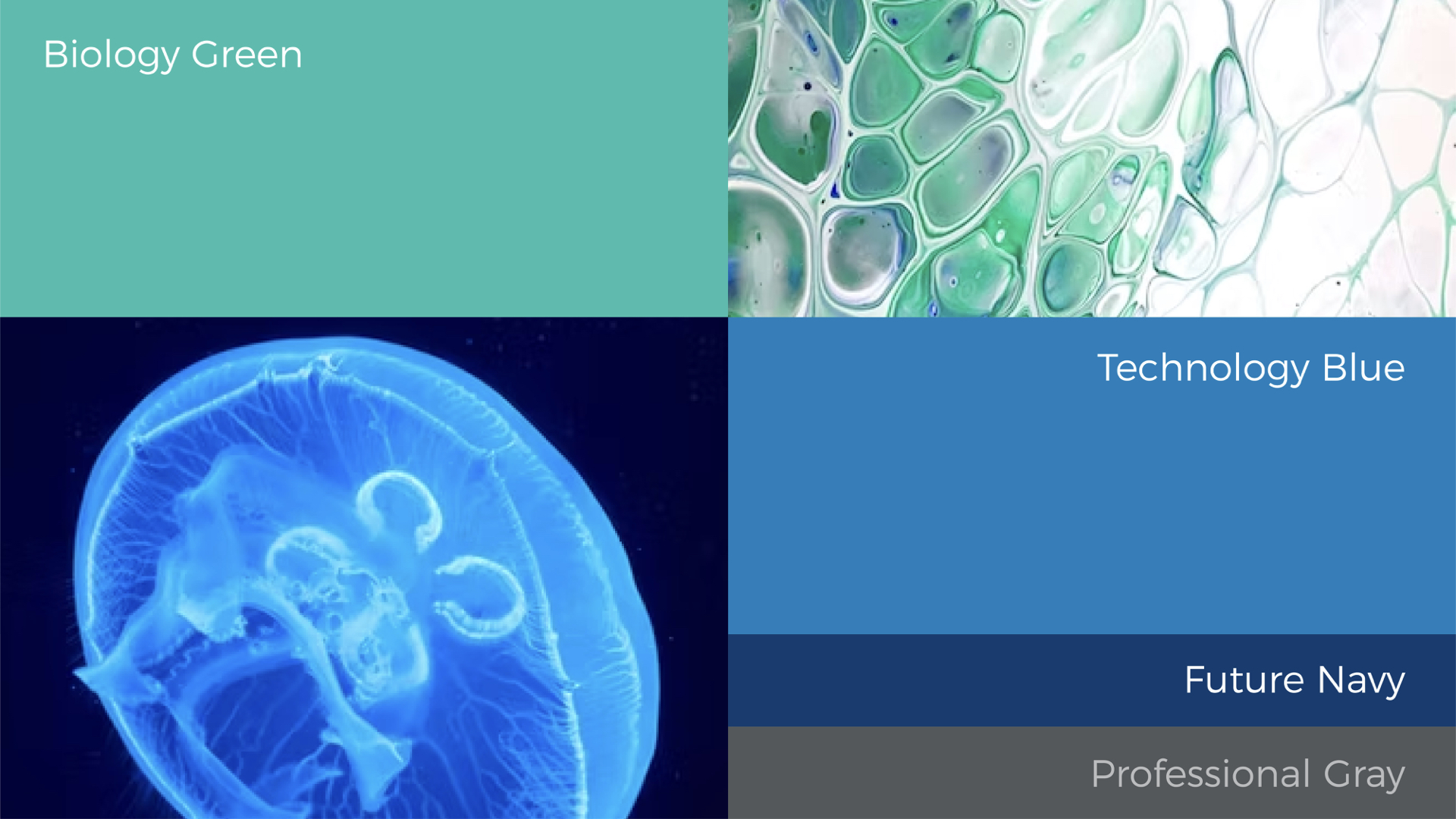 Pharmaceutical vi design company _ medical enterprise brand design ...