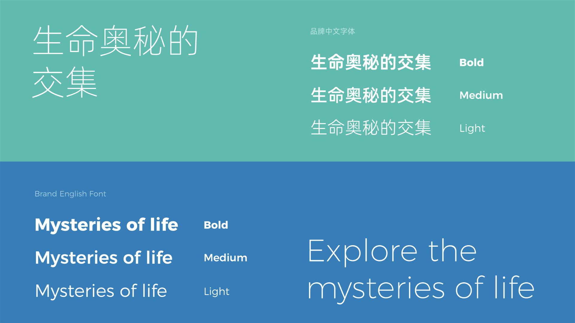 What unique advantages can biomedical visual brand identity bring to ...